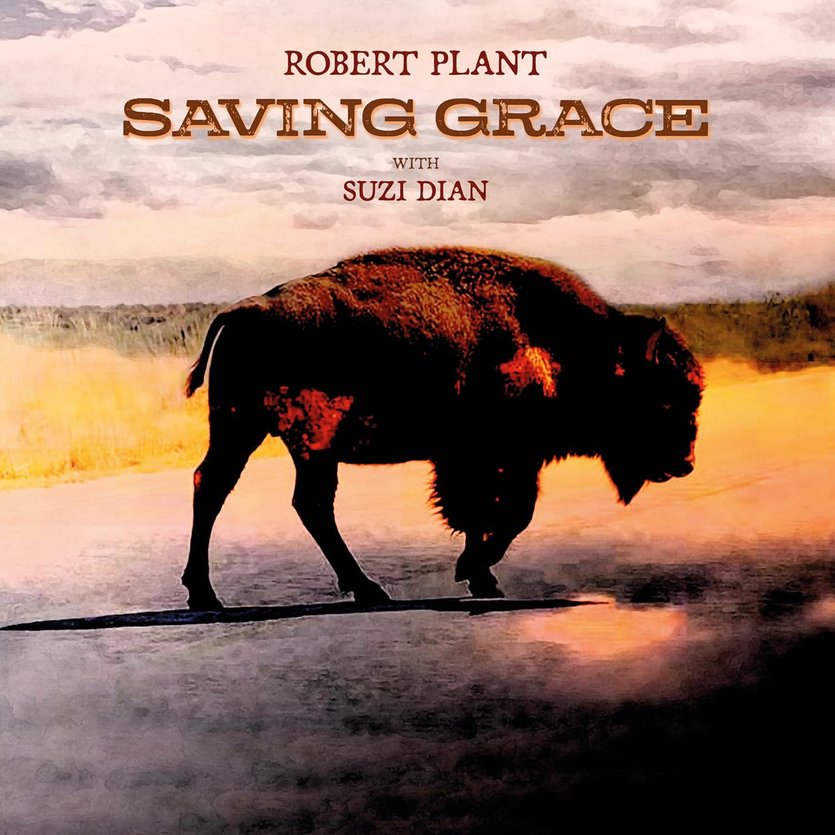 Robert Plant – Saving Grace (New Vinyl) – Resolute Records